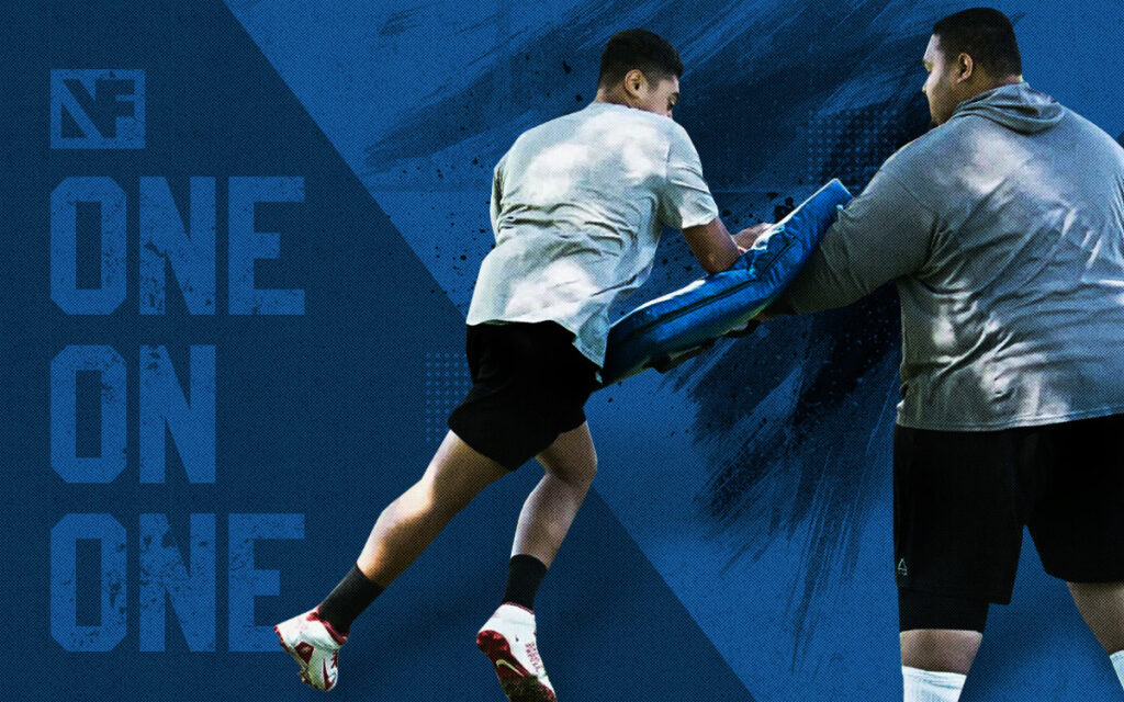 Home - Team Never Pelu